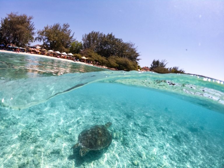 Where To Find Turtles At The Beach In Gili Trawangan