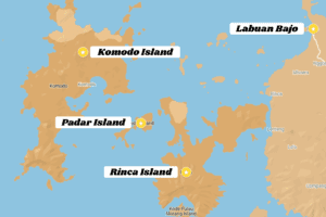24 Amazing Things to do in Labuan Bajo and Komodo National Park