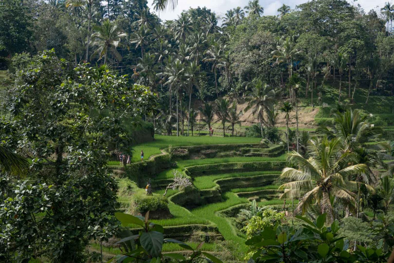 61 Bali Birthday Ideas For A Fun And Unforgettable Party 2024