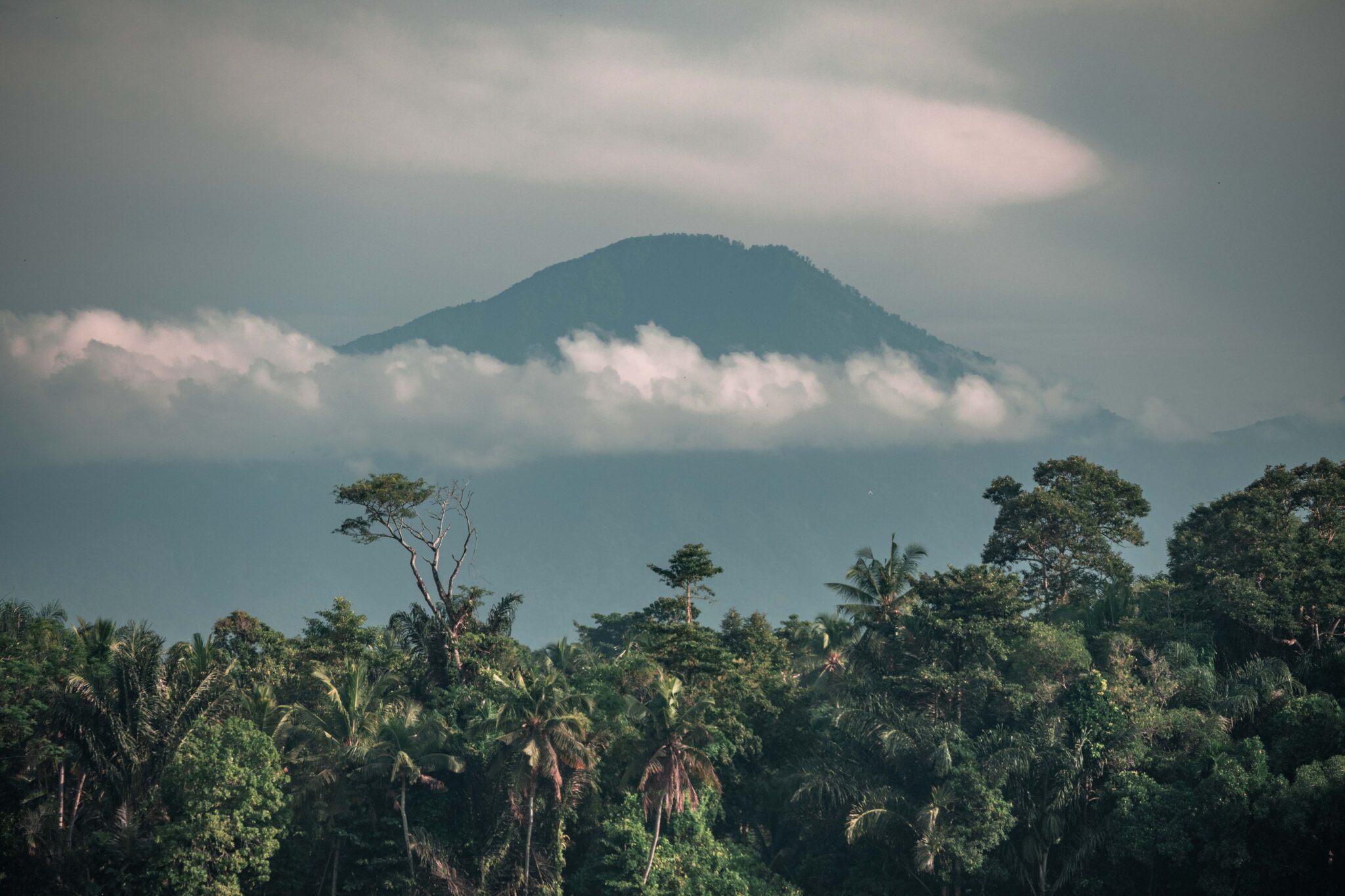 159 Best Bali Quotes, Instagram Captions And Puns