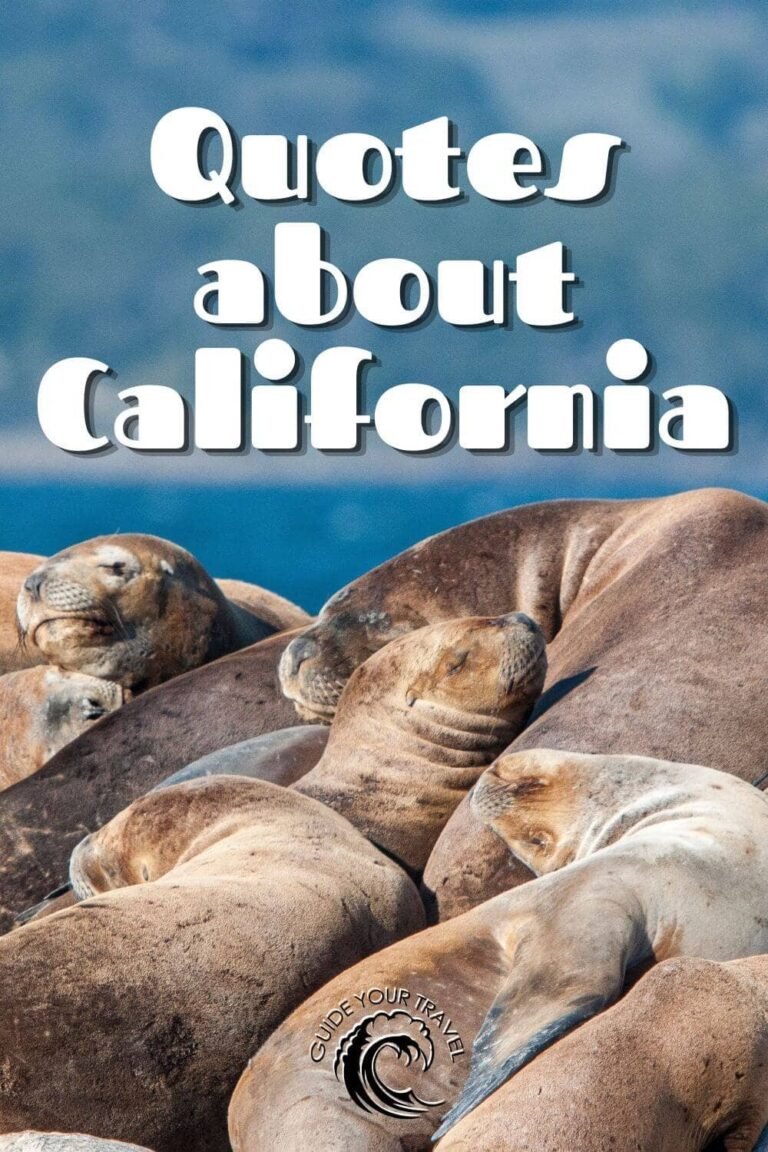 280 Best California Instagram Captions And Quotes 2024