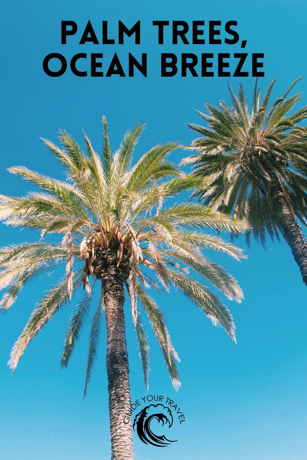 340 Best Miami Instagram Captions And Miami Quotes 2025