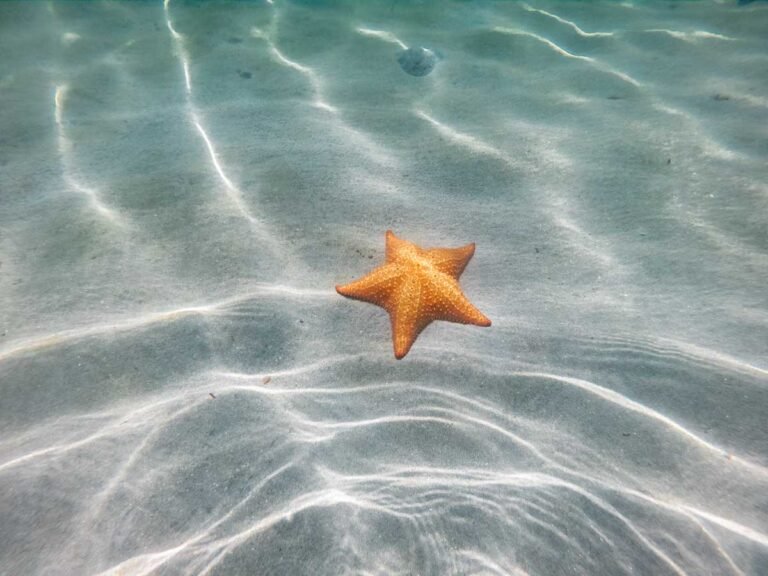 200 One-Word Instagram Captions About Travel 2026