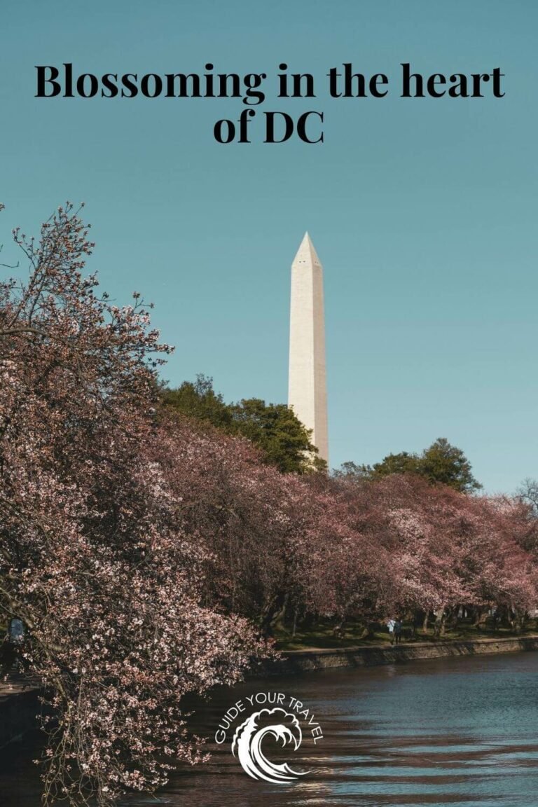 120 Best Washington DC Instagram Captions & Quotes