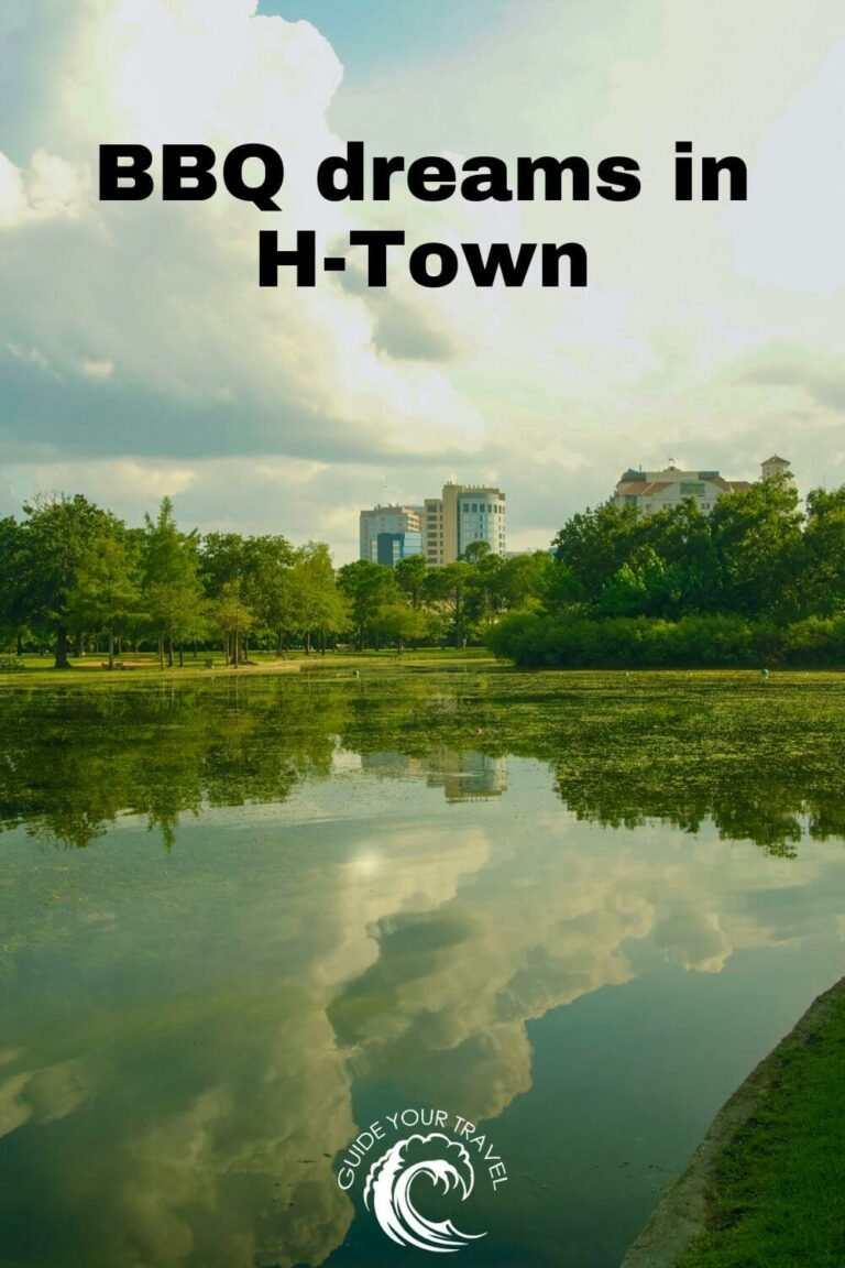 195 Best Houston Instagram Captions & Quotes