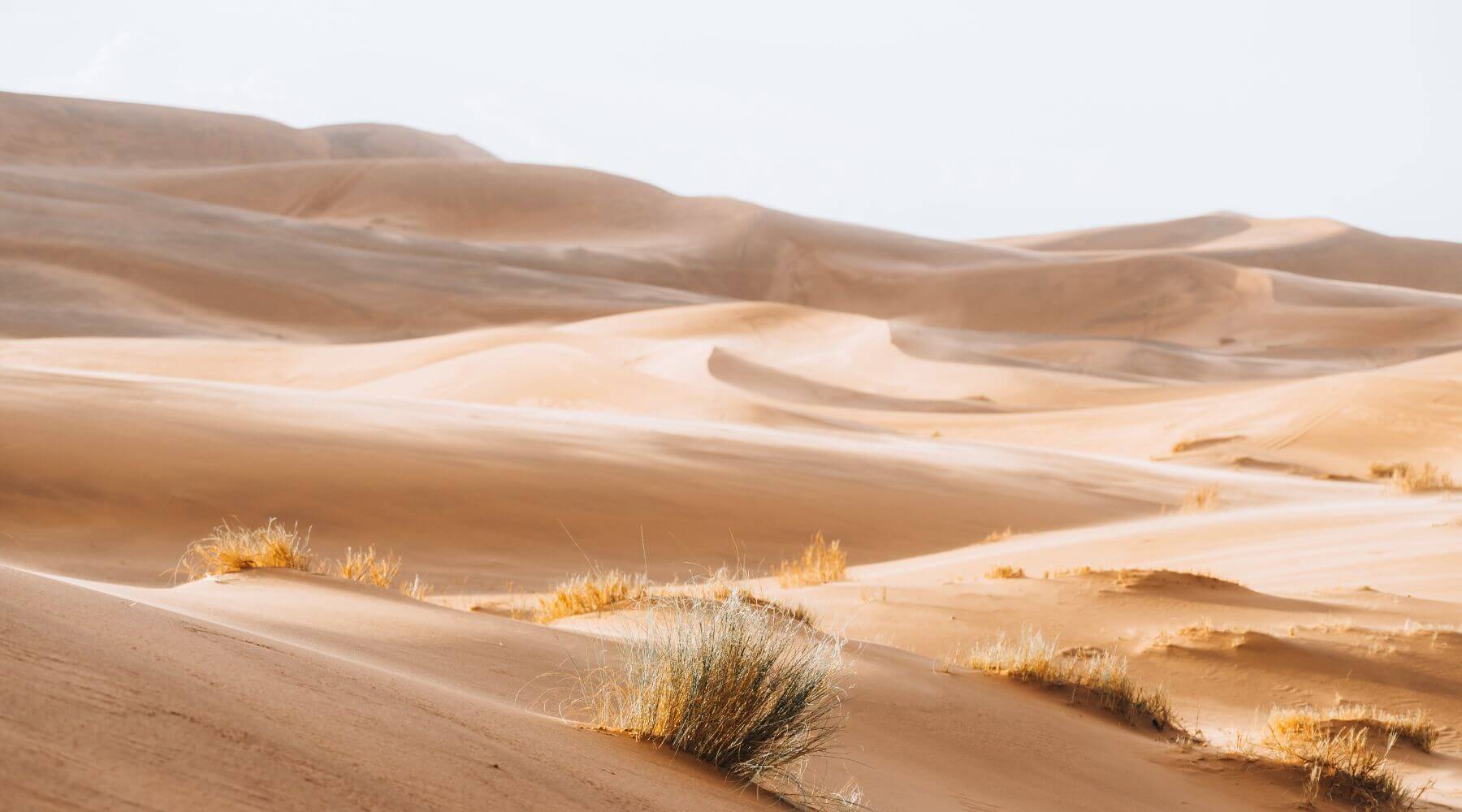 200 Best Desert Instagram Captions & Quotes