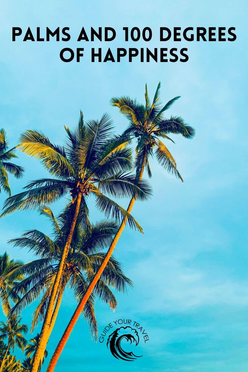 100 Best Palm Tree Instagram Captions & Quotes