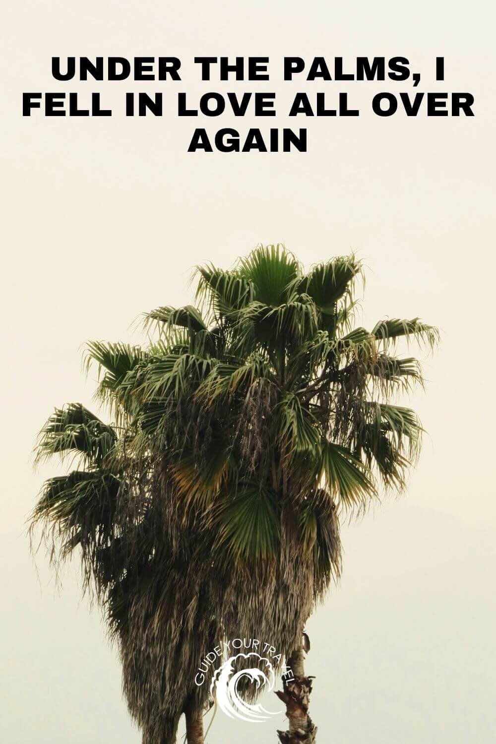 100 Best Palm Tree Instagram Captions & Quotes