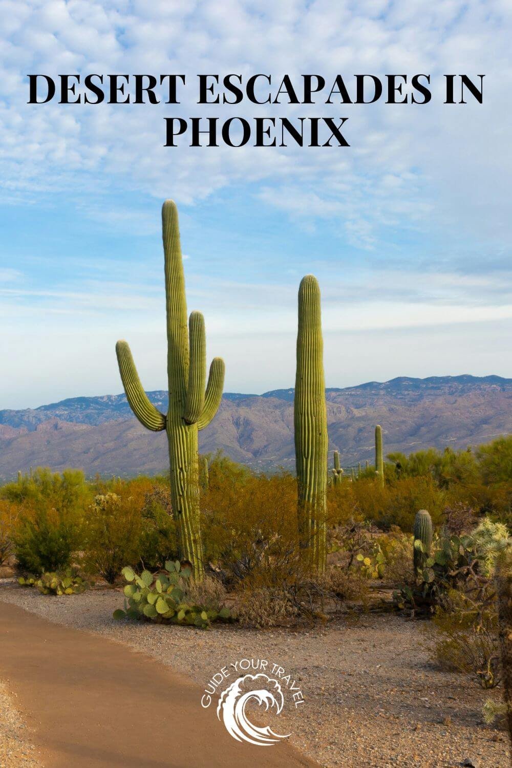 250 Best Phoenix Instagram Captions & Quotes