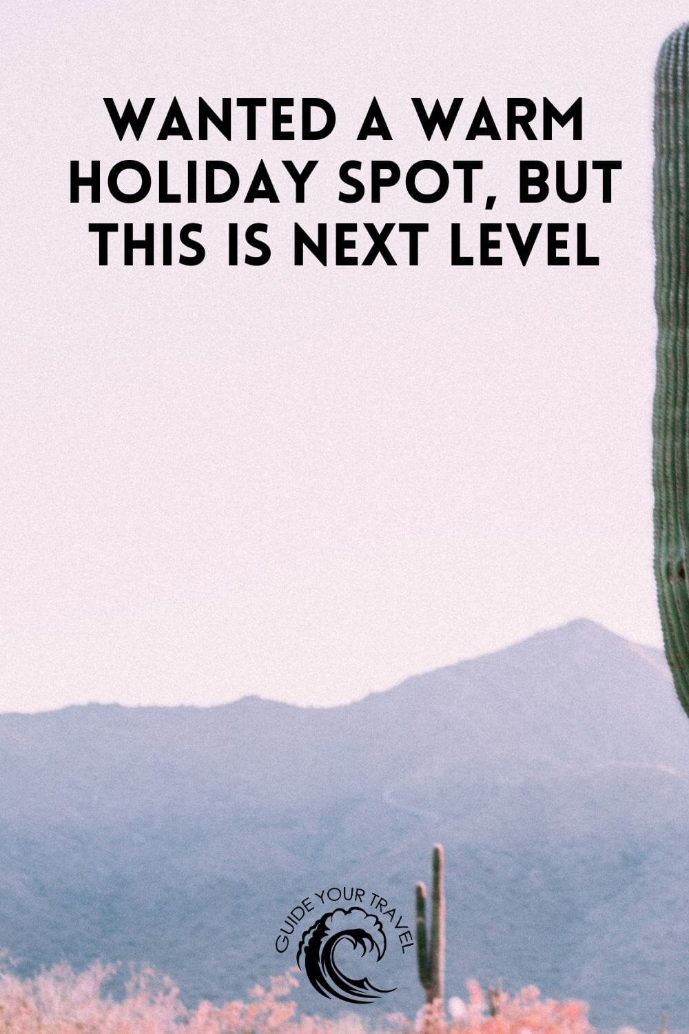 250 Best Phoenix Instagram Captions & Quotes