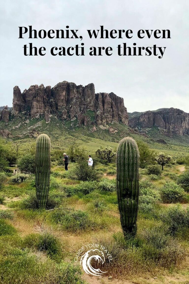 250 Best Phoenix Instagram Captions & Quotes