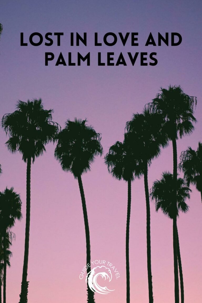 100 Best Palm Tree Instagram Captions & Quotes