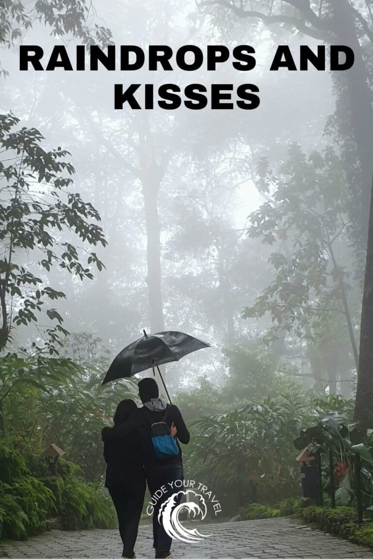 250 Best Rainy Day Instagram Captions & Quotes