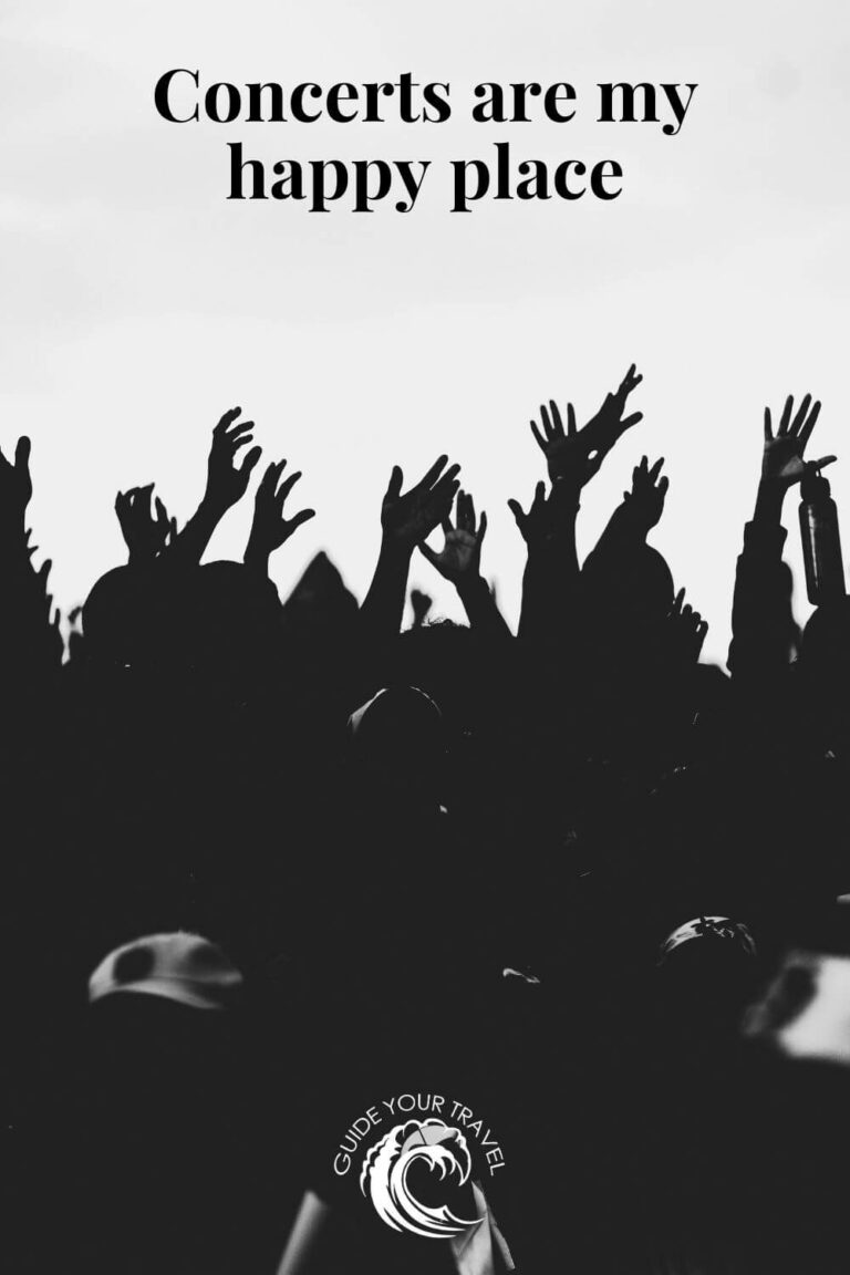 200 Best Concert Instagram Captions & Quotes