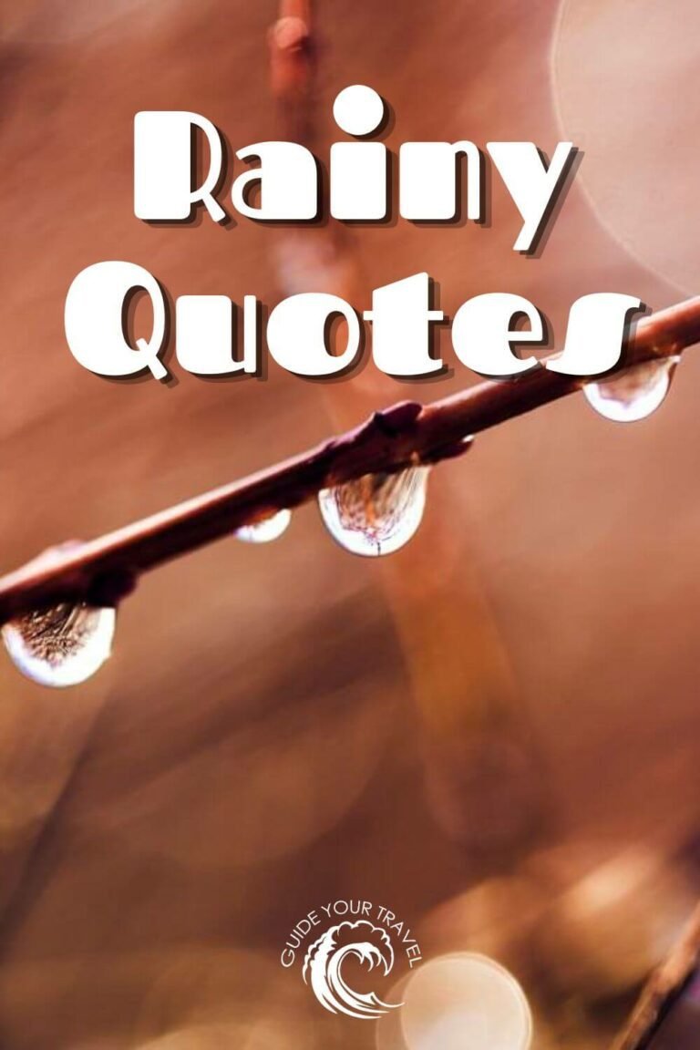 250 Best Rainy Day Instagram Captions & Quotes
