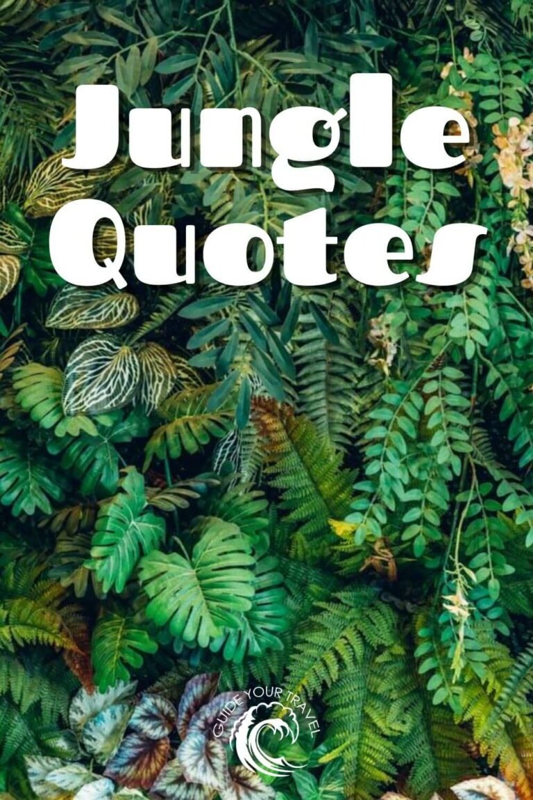 150 Best Jungle Instagram Captions & Quotes